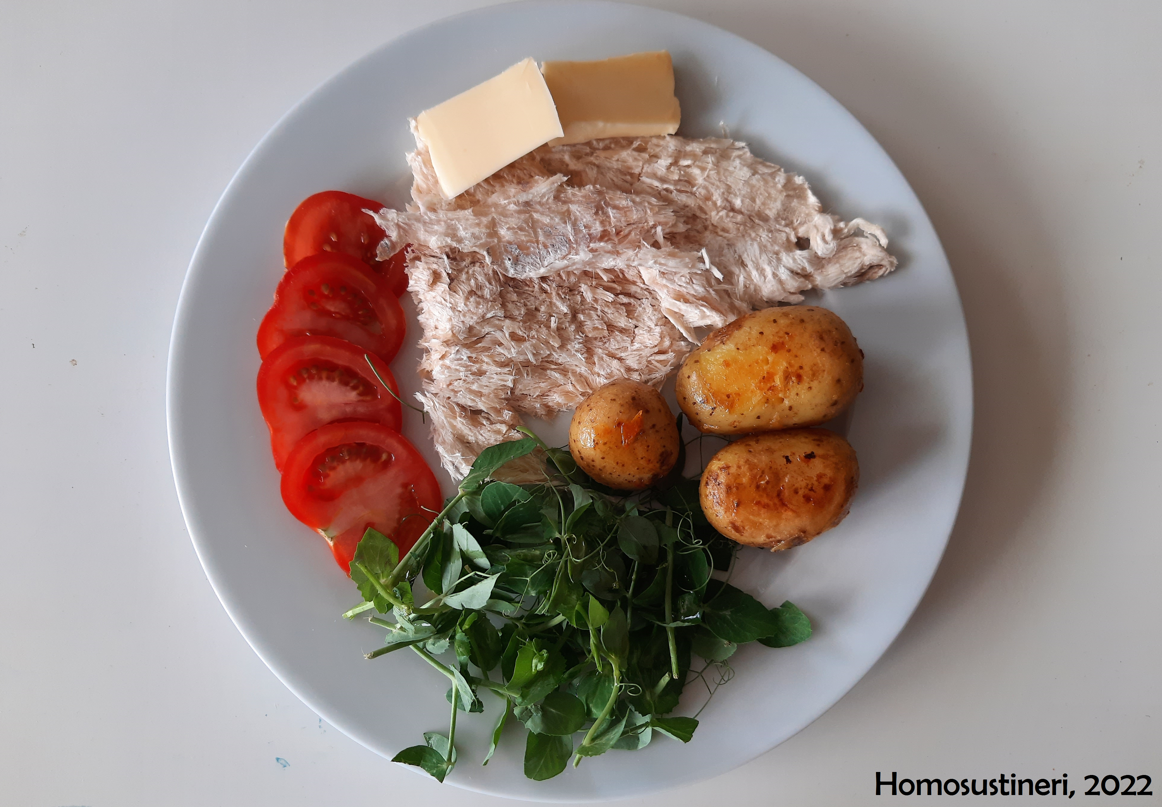 Escandinavia a bocados (II): El Tørfisk – Homo Sustineri